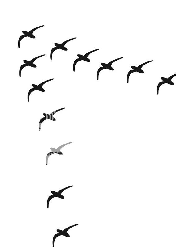 The Gestalt Principles of Unity – akasserman