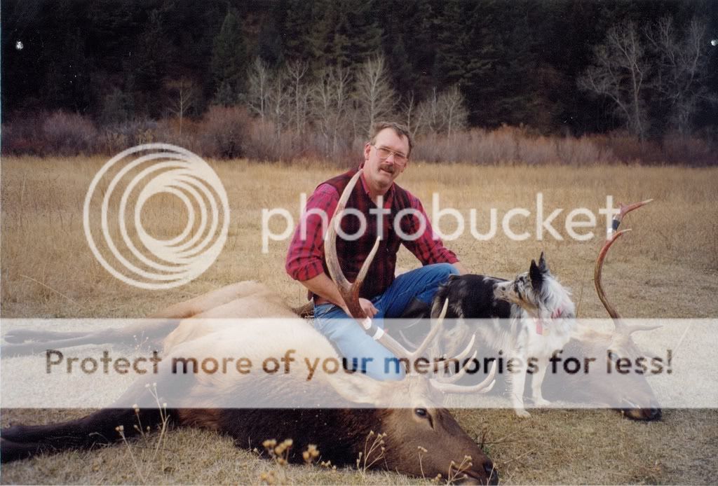 Trusty rifles - lets see the proven ones... - 24hourcampfire