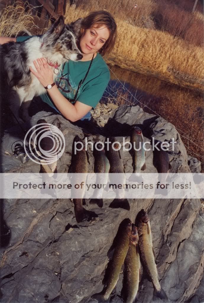 What does 223AI mean? - 24hourcampfire