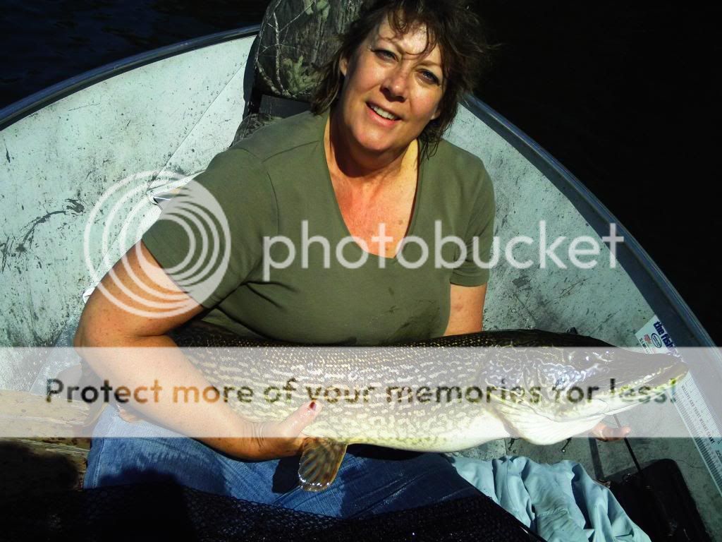 "Apikealypse 2014" Snot Rocket Marathon! - 24hourcampfire