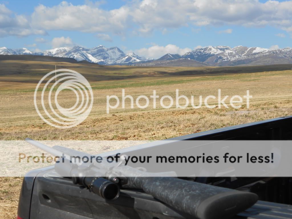 What does 223AI mean? - 24hourcampfire