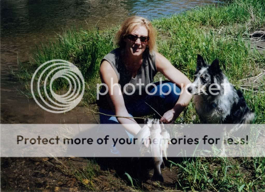 What kind of Mutt do you have/had ?? - 24hourcampfire