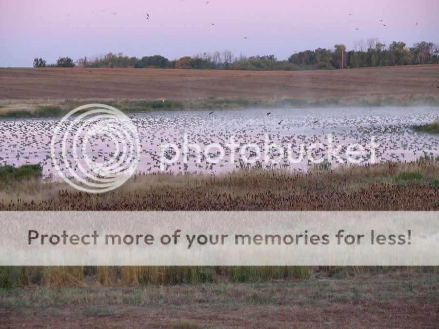 TomFL...these are for you | Dedicated To The Smallest Of Skiffs