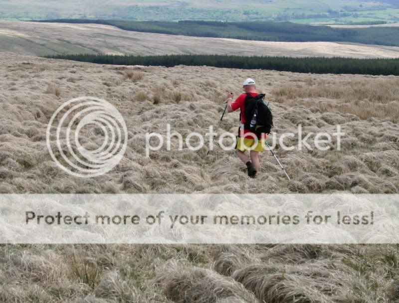 Fan Llia , Fan Nedd , Fan Gyhirych, Fan Fraith