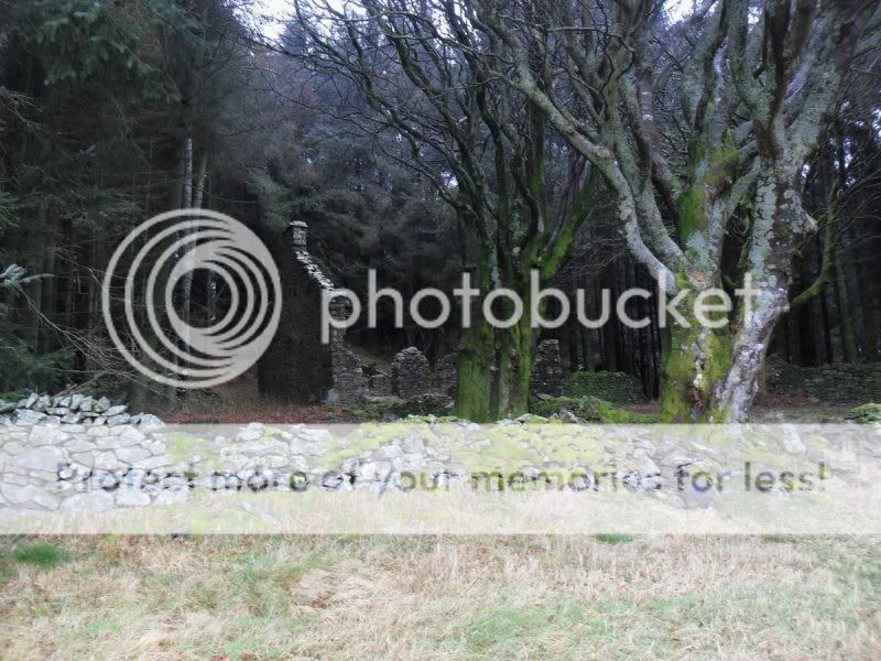 Trip report.... Mwdwl Eithin and the Alwyn Trail.