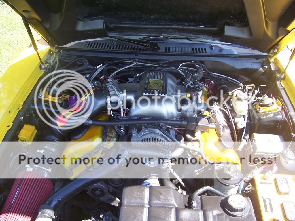 99-04: The Infamous Lincoln Mark VIII engine swap thread. | Modded ...